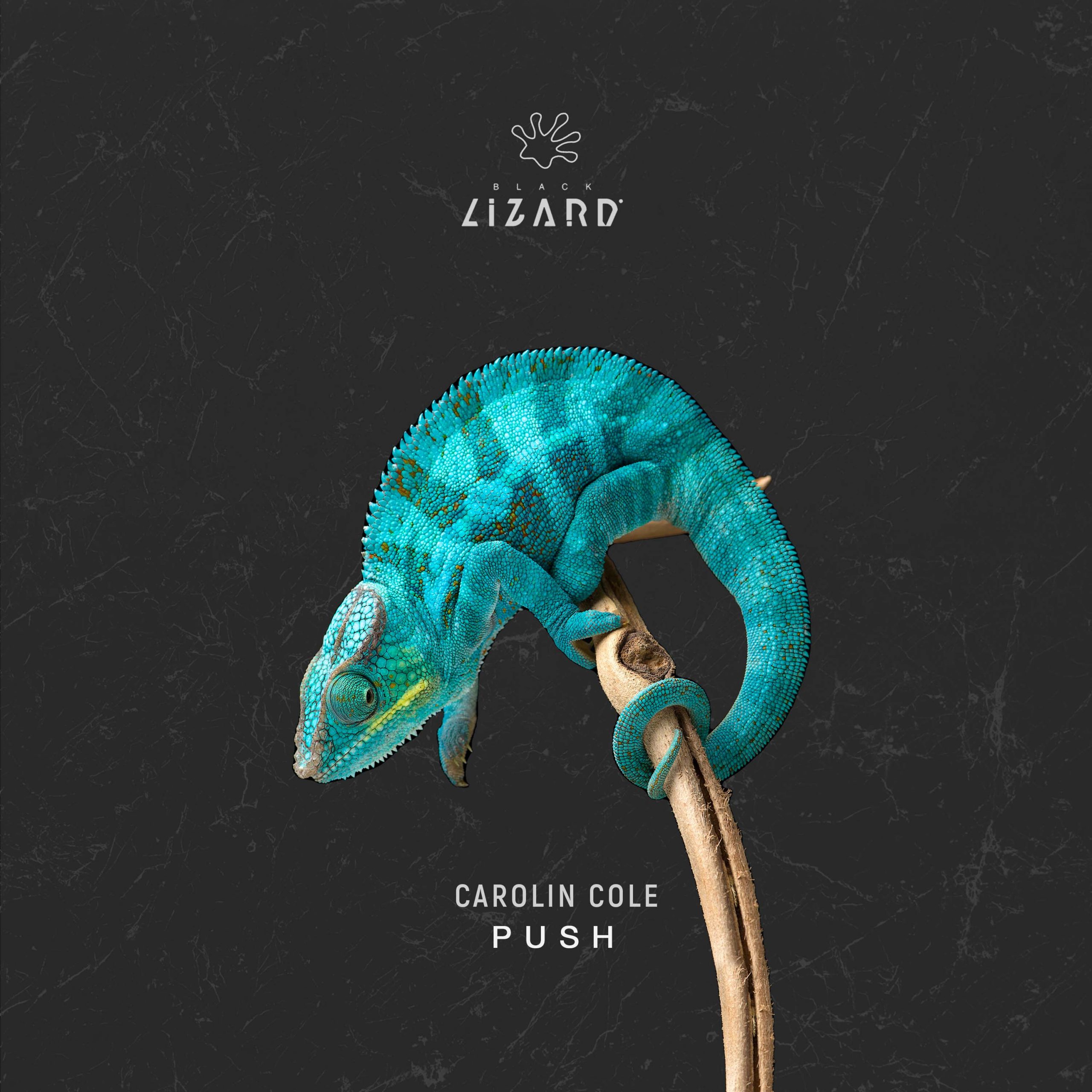 push - Origami Management